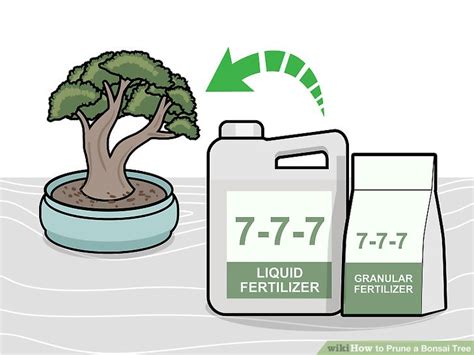 Ways To Prune A Bonsai Tree WikiHow