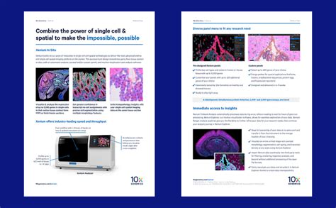Xenium In Situ Platform 10x Genomics