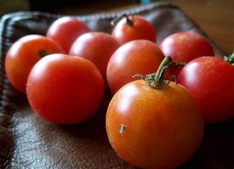 History Of Isis Candy Cherry Tomato Urbantomato