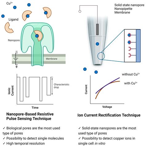 Recent Advances In Nanopore Technology For Copper Detection And Their Potential Applications