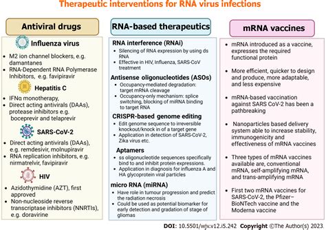 Virus Examples