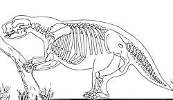 Lestodon Wikipedia