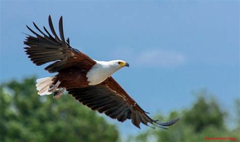 Iitm Tech Talk Contributing To A Better World