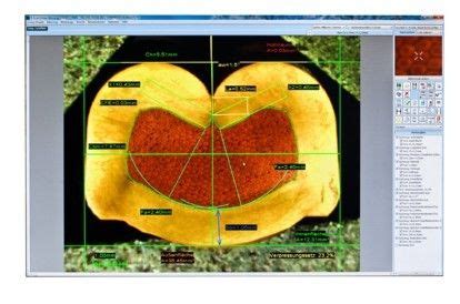 C S Technologies Cross Sectioning X Scan Software