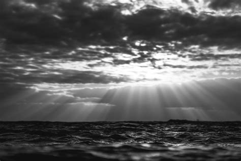 Why Cloud Computing Is An Essential Skill Data Science Prophet