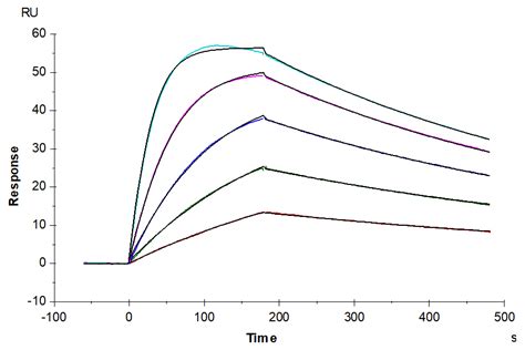 biotinylated human il 18bp protein il8 hm4bpb kactus