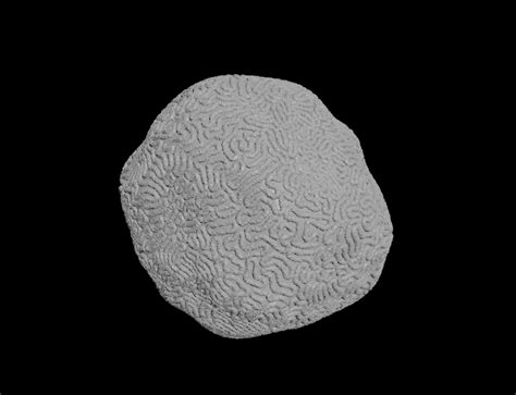 Differential Curve Growth Page 7 Effects Odforum Differential Curve Growth Page 7 Effects Odforum