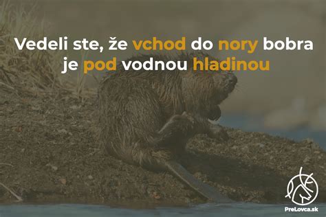 Bobor Zaujímavosti Prelovcask