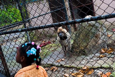 Havana Zoo Havana Cuba