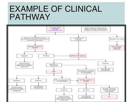 Standard Of Care Standard Of Practice Clinical Guideline Clinica…