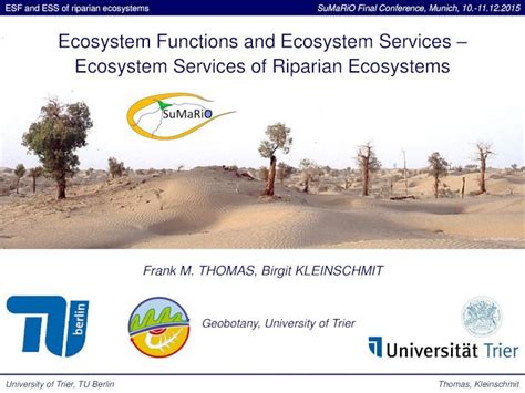 PDF Ecosystem Functions And Ecosystem Services Ecosystem ESF