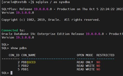 ANJANI APPS DBA How To Upgrade Oracle Database From 19C To 21C Step By