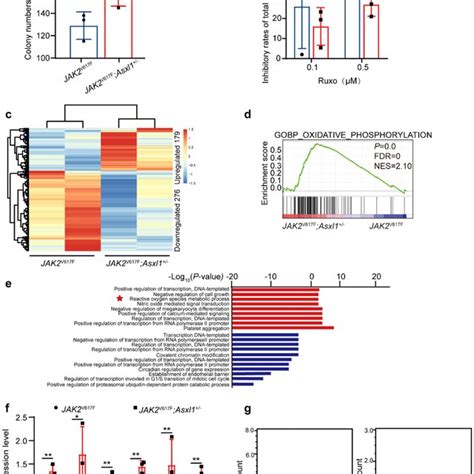 concurrent jak2v617f and asxl1 mutations lead to an altered