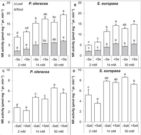 Activity Of Nitrate Reductase Nr In P Oleracea A C And S Download Scientific Diagram