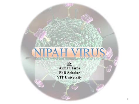 Nipah Virus Ppt Pptx Infectious Diseases Diseases And Conditions