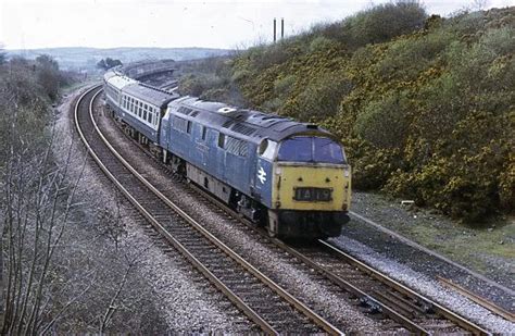 Original Colour Slide Of D1036 Br Class 52 Western Diesel Hydraulic