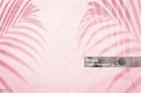 빛과 그림자 손바닥 은 밝은 분홍색 파스텔 색상 그런 지 벽 콘크리트 배경에 나뭇잎 실루엣 플랫 누워 추상적인 열대 잎 내츄럴