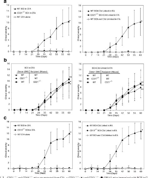 Figure 2 From A Critical Role For Complement C3d And The B Cell Coreceptor Cd19 Cd21 Complex