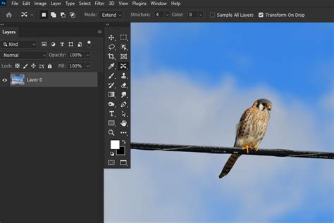 how to flip an image in photoshop