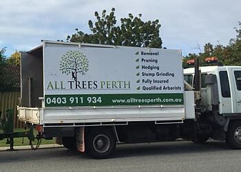 Best Tree Services In Perth Expert Recommendations