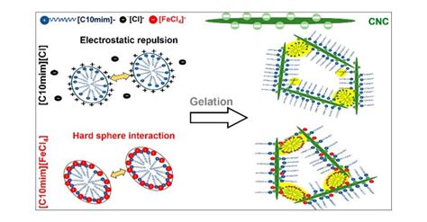 Can Demir On Linkedin Surfactant Driven Liquid To Soft Solid Transition Of Cellulose Nanocrystal