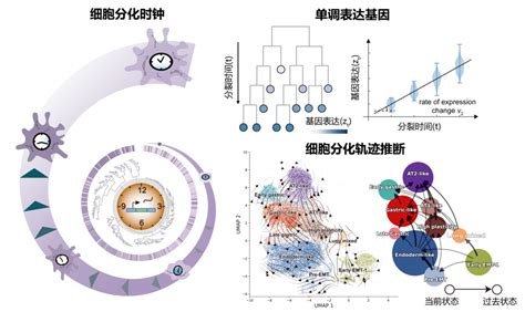 News Genomics Proteomics And Bioinformatics