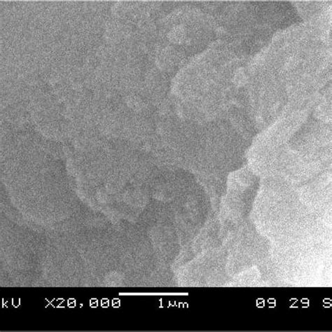 sem image of sio 2 nio xerogel nanocomposite download scientific