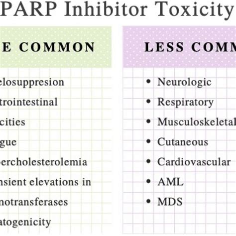 Toxicity Profile Of Parp Inhibitors Download Scientific Diagram