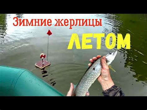 Зимние ЖЕРЛИЦЫ летом! Спиннинг - YouTube
