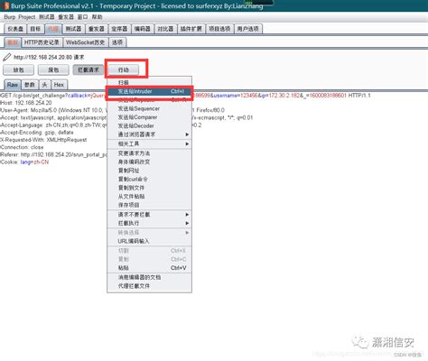 校园的入网安全认证 webcc成都东软学院校园网入网认证 csdn博客