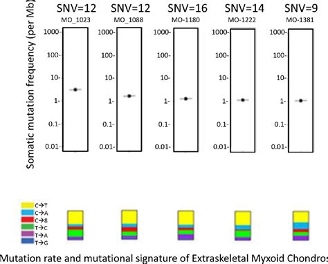 Table 1 From Next Generation Sequencing Of Extraskeletal Myxoid Chondrosarcoma Semantic Scholar
