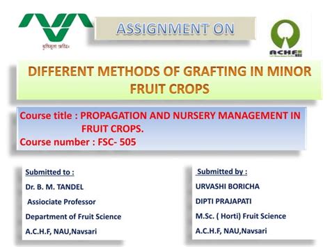 Different Grafting Methods In Minor Fruit Crops Pptx