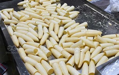 Fully Automatic Wafer Cone Making Machine 8000pcsh