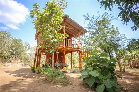 Neverbeen To Sigiriya Tree House Has Patio And Balcony UPDATED 2022 Tripadvisor Sigiriya Neverbeen To Sigiriya Tree House Has Patio And Balcony UPDATED 2022 Tripadvisor Sigiriya