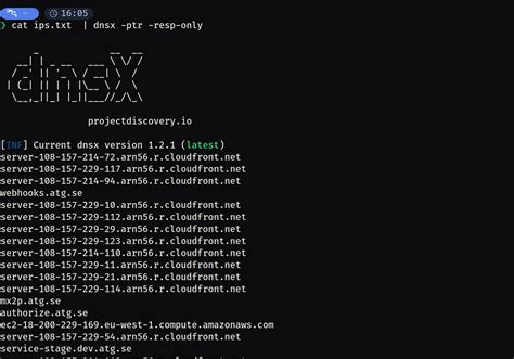 subdomain enumeration expand attack surfaces with active passive