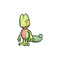 Grovyle Pokdex Stats Moves Evolution Locations