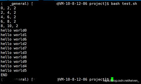 Python并行运行两种方式：1multiprocessing多进程库 2shell脚本运行multiprocessing Shell Csdn博客