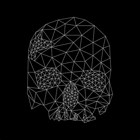 Skull Geometric On Behance