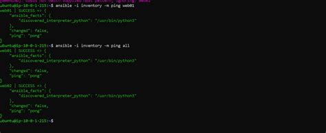 Github Salaheddine Admouansible Tasks