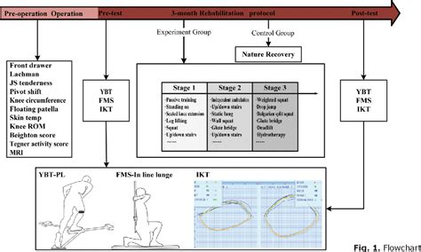 Figure 1 From Three Month Functional Training Programme Improves Knee Joint Function In Athletes Figure 1 From Three Month Functional Training Programme Improves Knee Joint Function In Athletes