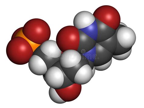 Thymidine Monophosphate Tmp Thymidylate Nucleotide Molecule Dna