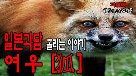 보면 볼 수록 기묘한 여우 요괴 괴담│괴담록│무서운이야기│일본귀신【일본괴담】 Youtube