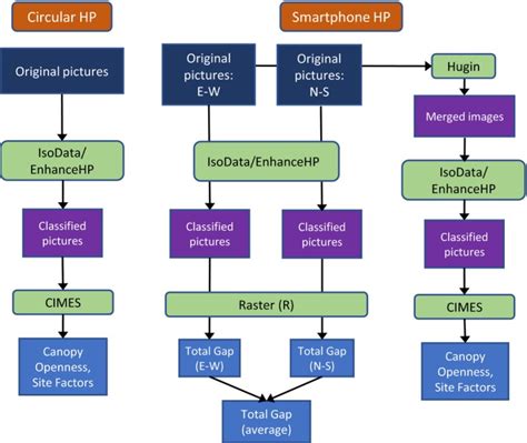 Rapid Assessment Of Forest Canopy And Light Regime Using Smartphone Hemispherical Photography Pmc