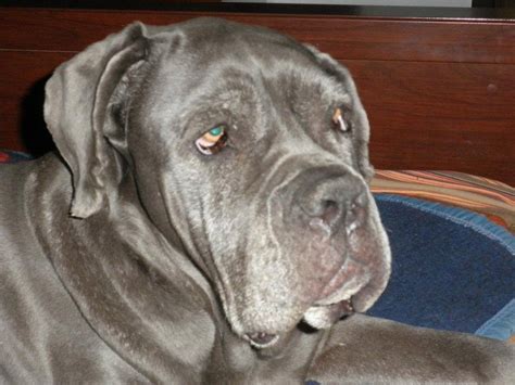 Ένα τεράστιο ταξίδι αρχίζει απλά με ένα βήμα Kαι ξαφνικά γνώρισα μια θλίψη πρωτόγνωρη μια