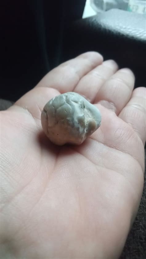 A Fossilized Egg Brain Or Just A Peculiar Rock R Whatsthisrock