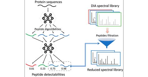 deepdetect deep learning of peptide detectability enhanced by peptide
