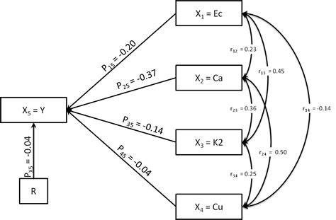Plot Plotting Dewey And Lu Path Analysis Results As A Path Diagram In