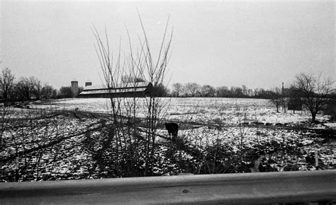 Josh Doss Lexington Art League