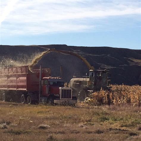3g Custom Silaging Ltd Nanton Ab