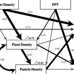 Fitted Latent Variable Model With A Single Indicator For Each Latent Download Scientific